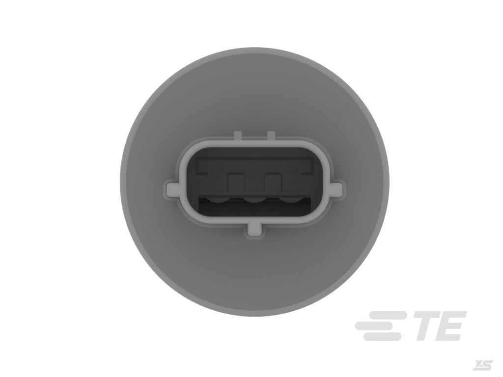 2005489-3-线束世界